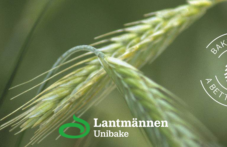 Baking for a better world | Lantmännen Unibake
